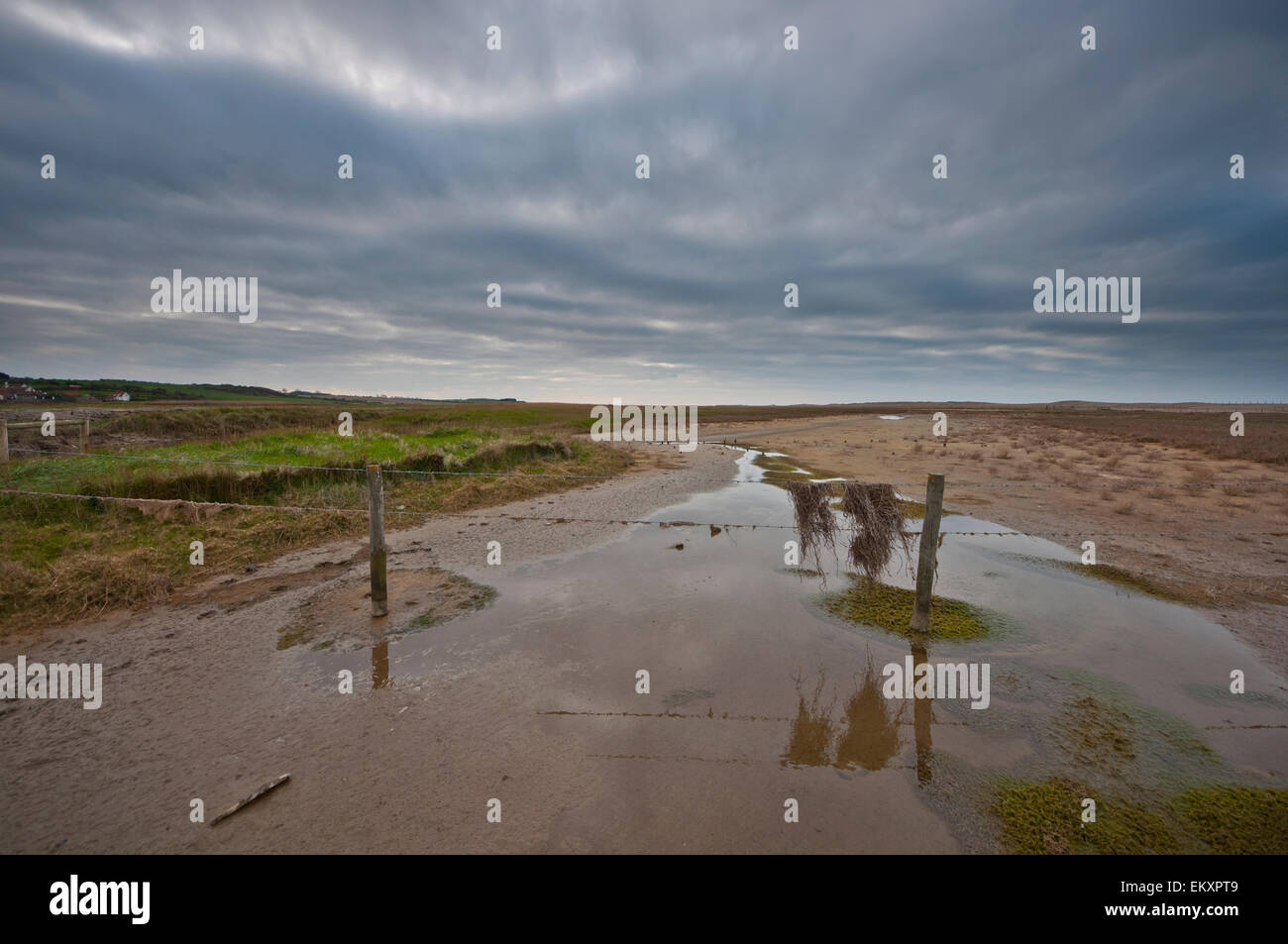 Salt marsh drainage ditch grazing marsh Nature reserve big sky Stock ...