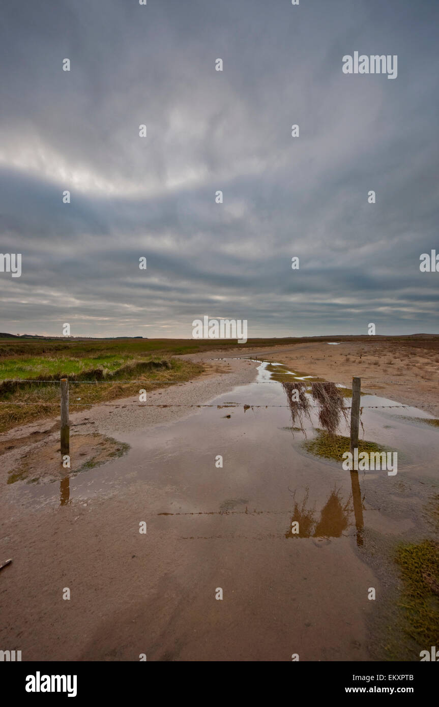 Salt marsh drainage ditch grazing marsh Nature reserve big sky Stock ...