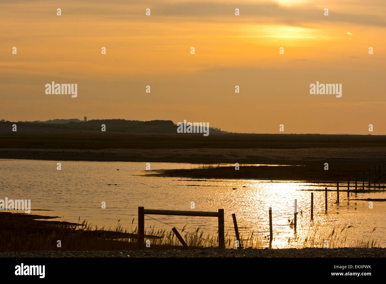 Sunset Salt marsh drainage ditch grazing marsh Nature reserve Stock ...