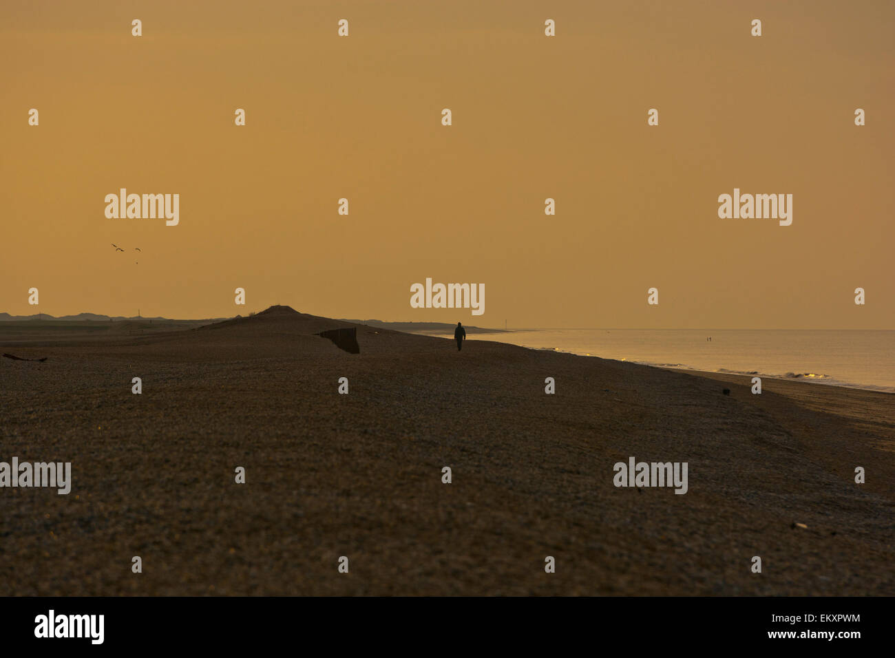 Beach dusk sunset Stock Photo - Alamy