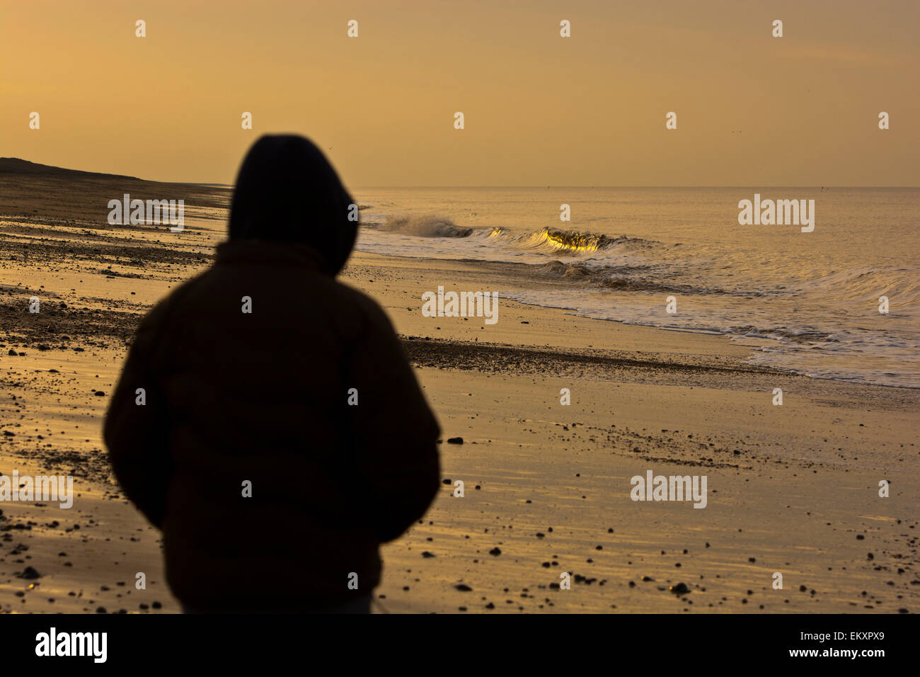 Unidentifiable female hi-res stock photography and images - Alamy