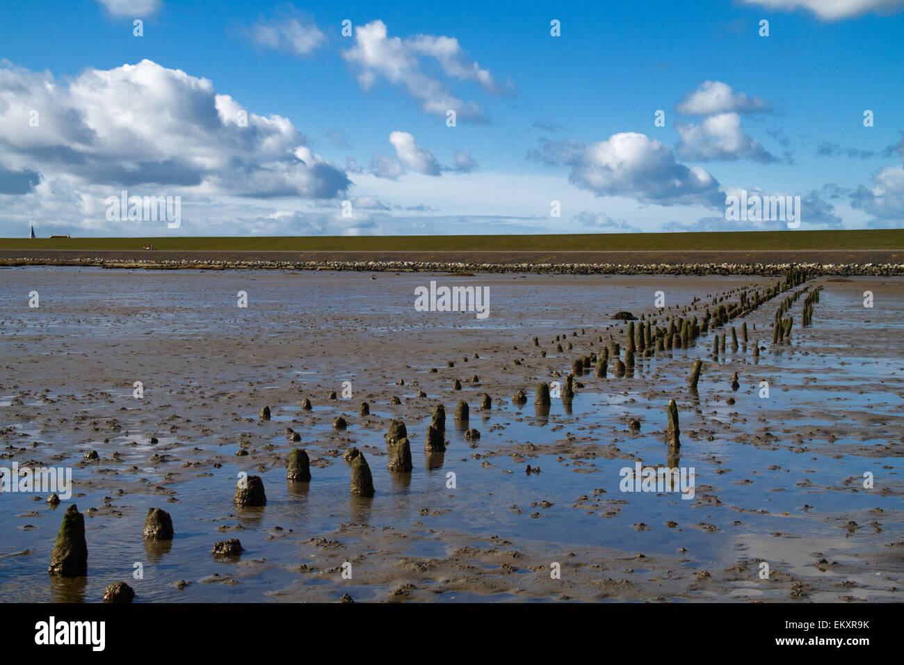 Wooden poles on a mudflat or tidal flat in the Dutch Wadden sea Stock ...