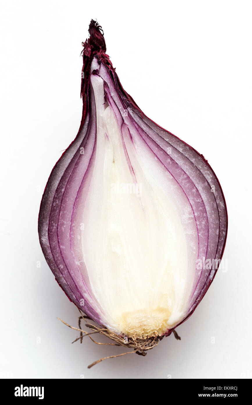 half red onion isolated on white Stock Photo - Alamy half red onion isolated on white Stock Photo - Alamy