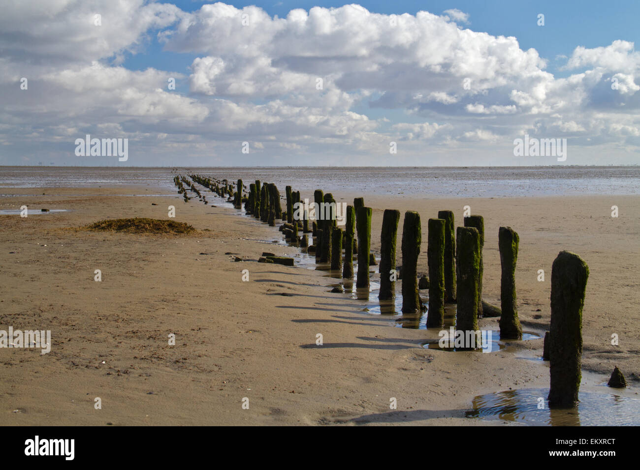 Wooden poles on a mudflat or tidal flat in the Dutch Wadden sea Stock ...