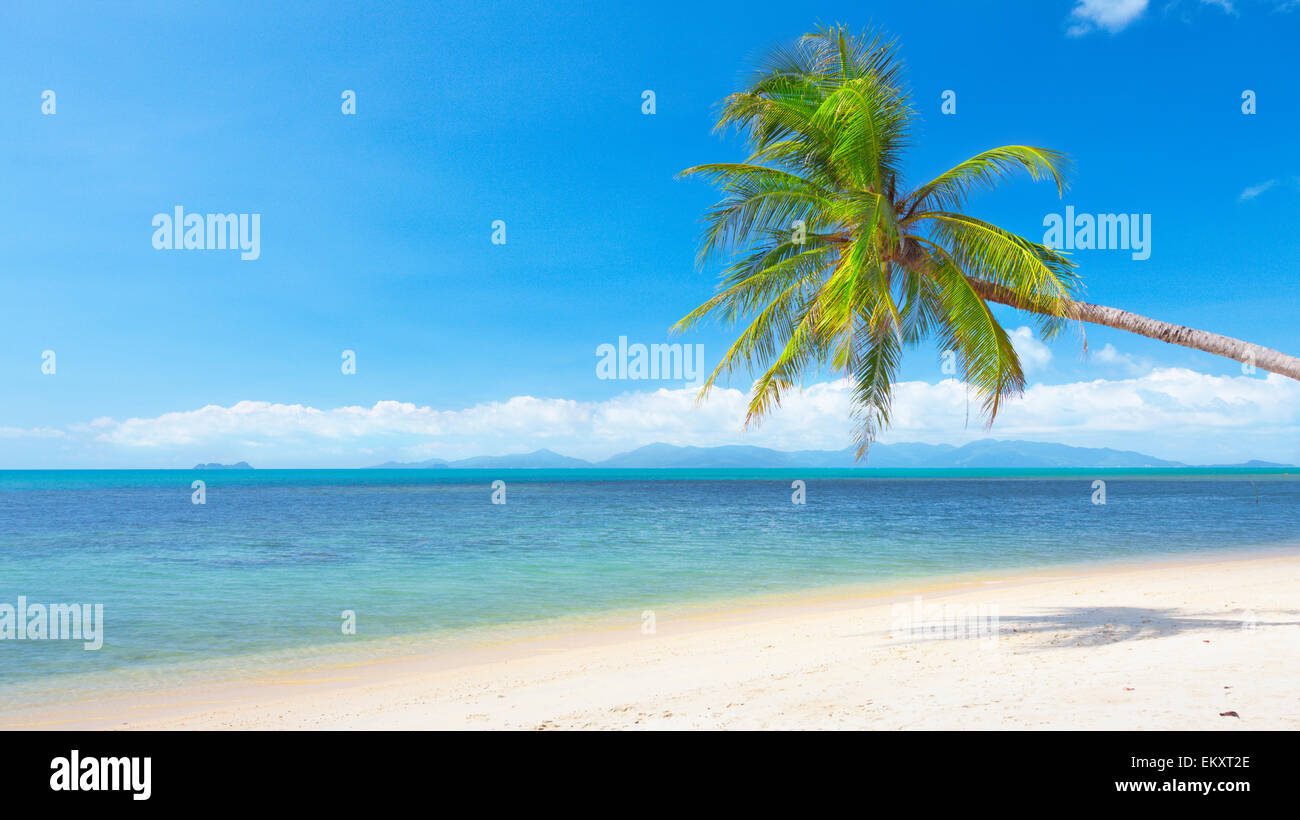 16x9 aspect ratio hi-res stock photography and images - Alamy