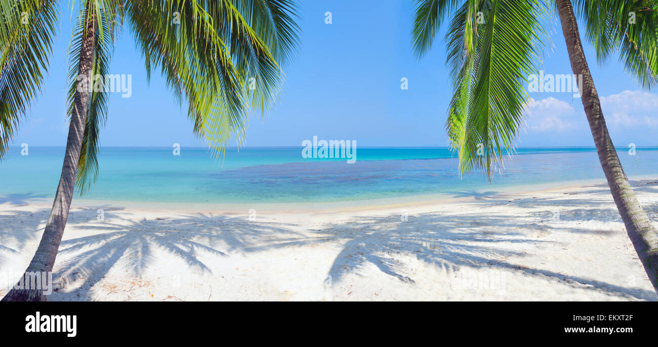 panoramic tropical beach with coconut palm Stock Photo - Alamy