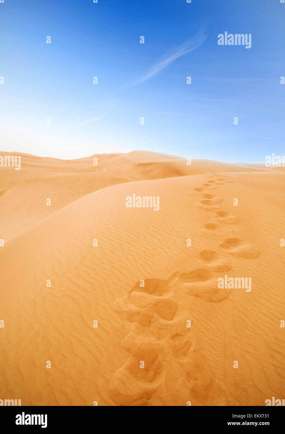 footsteps in desert Stock Photo - Alamy