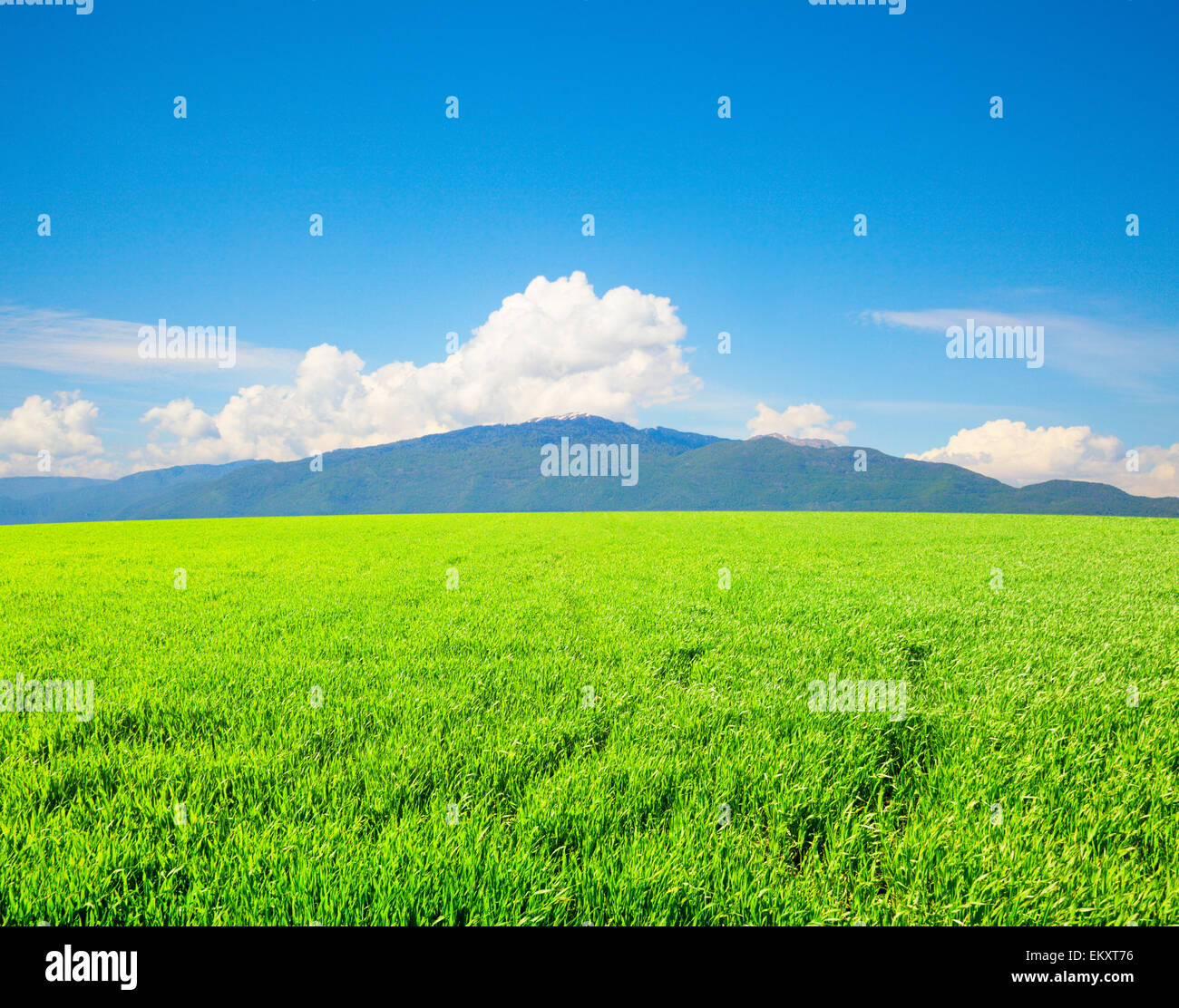 Field grass lawn mountains sky sun hi-res stock photography and images ...