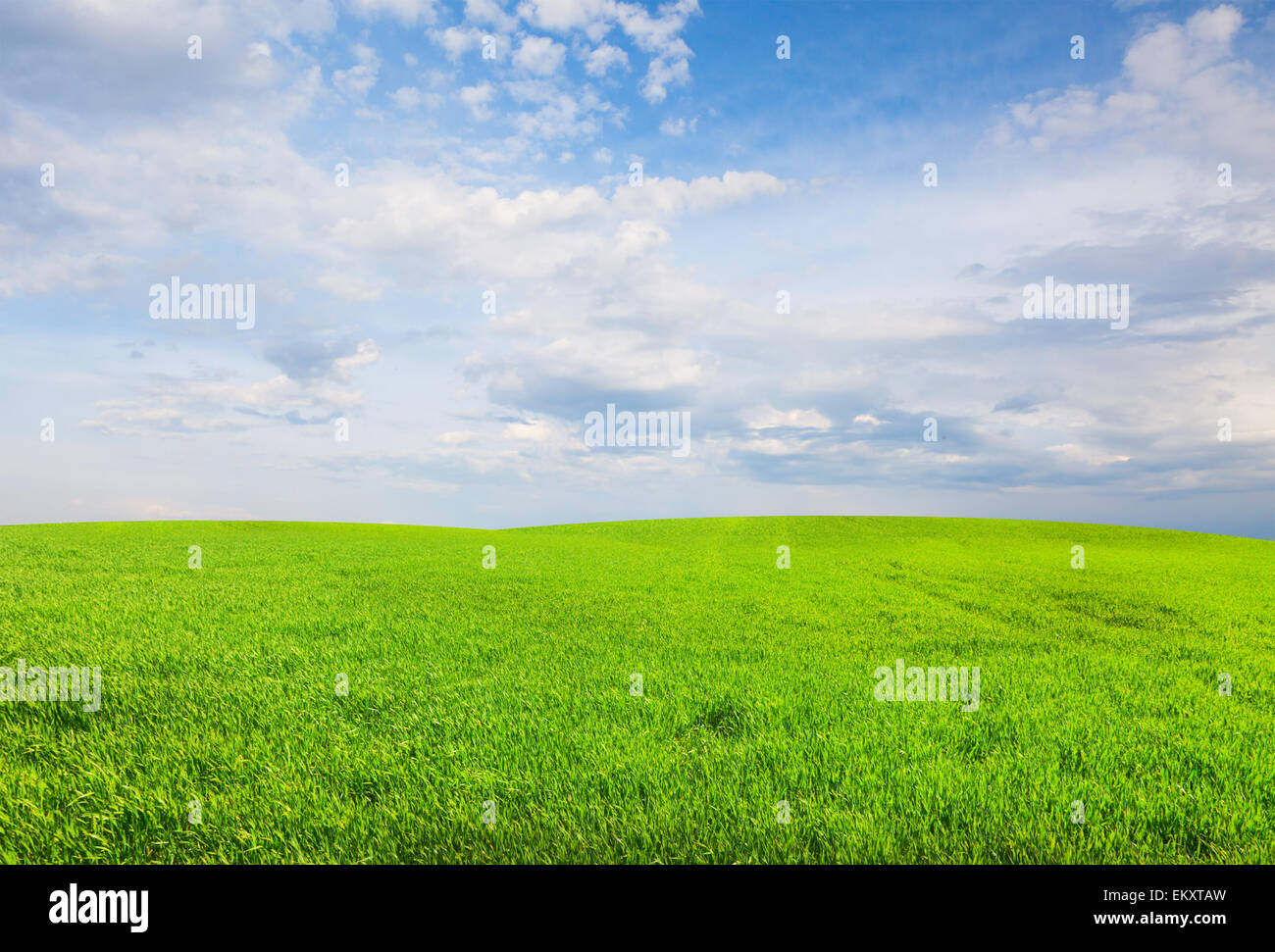 Green field and cloudy sky Stock Photo - Alamy