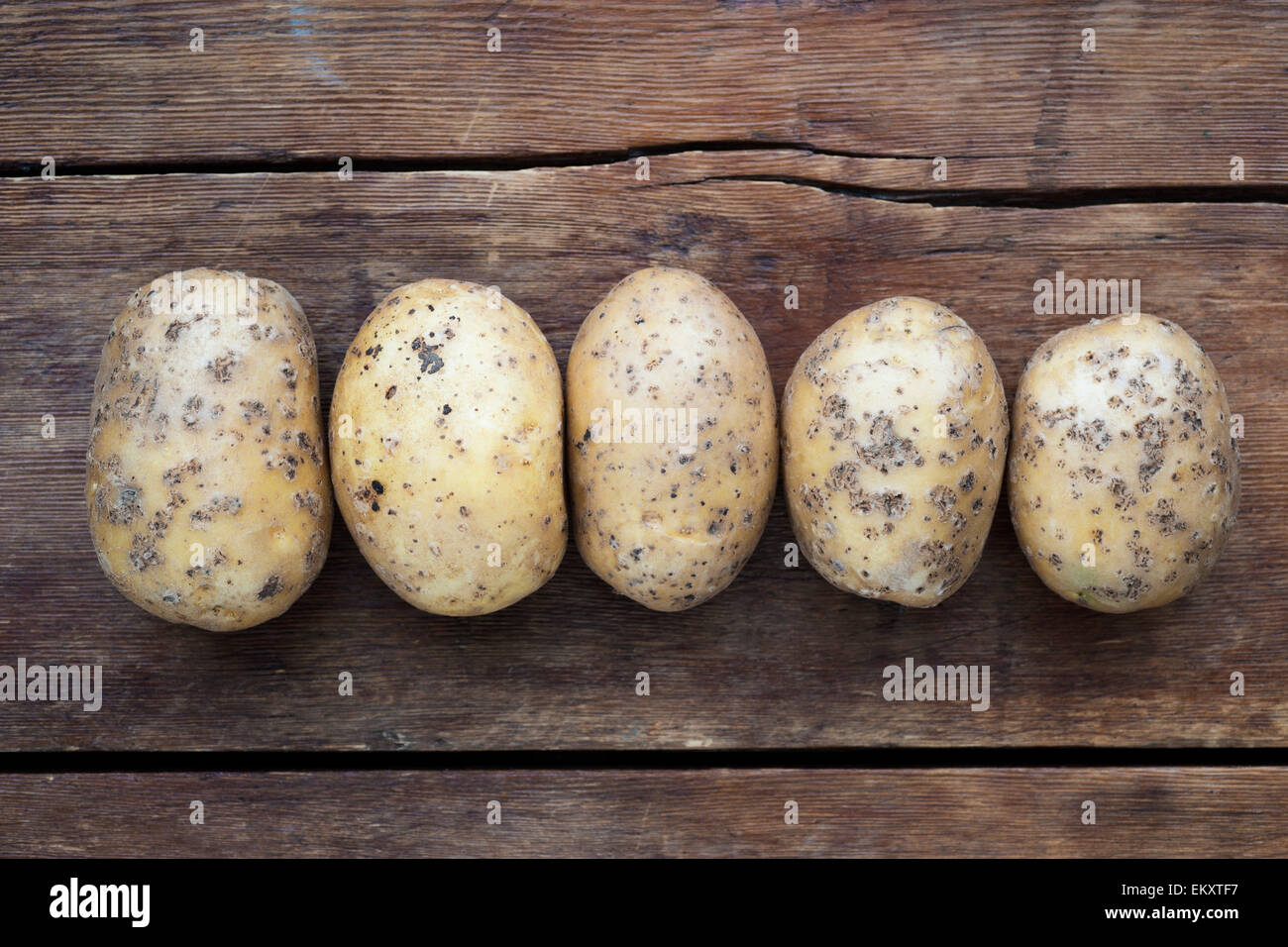 Tabletop vintage hi-res stock photography and images - Alamy