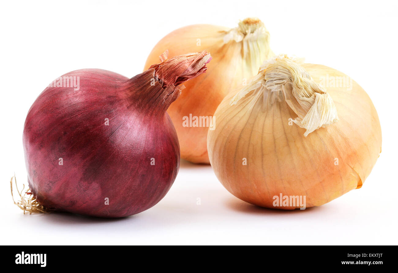 One red and two yellow onions (allium) isolated on a white background ...