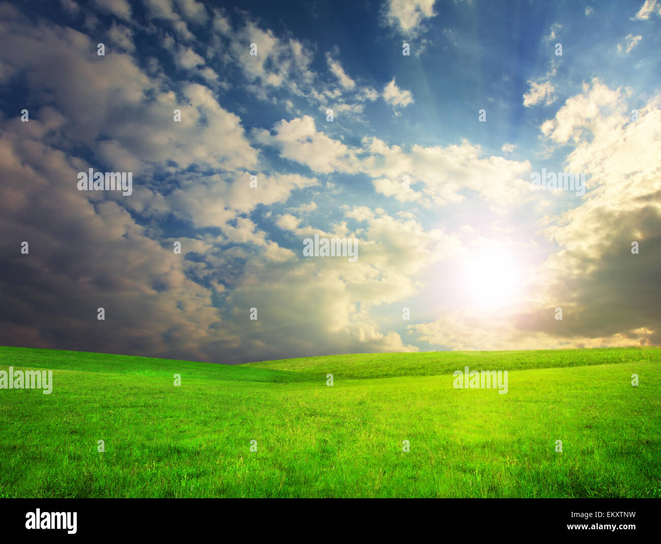 green field and beautiful sunset Stock Photo - Alamy