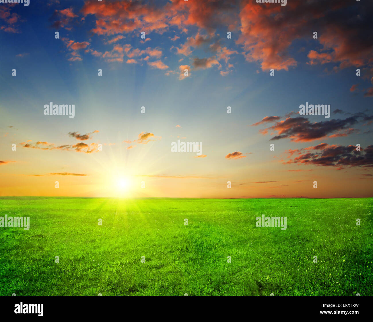 green field and beautiful sunset Stock Photo - Alamy