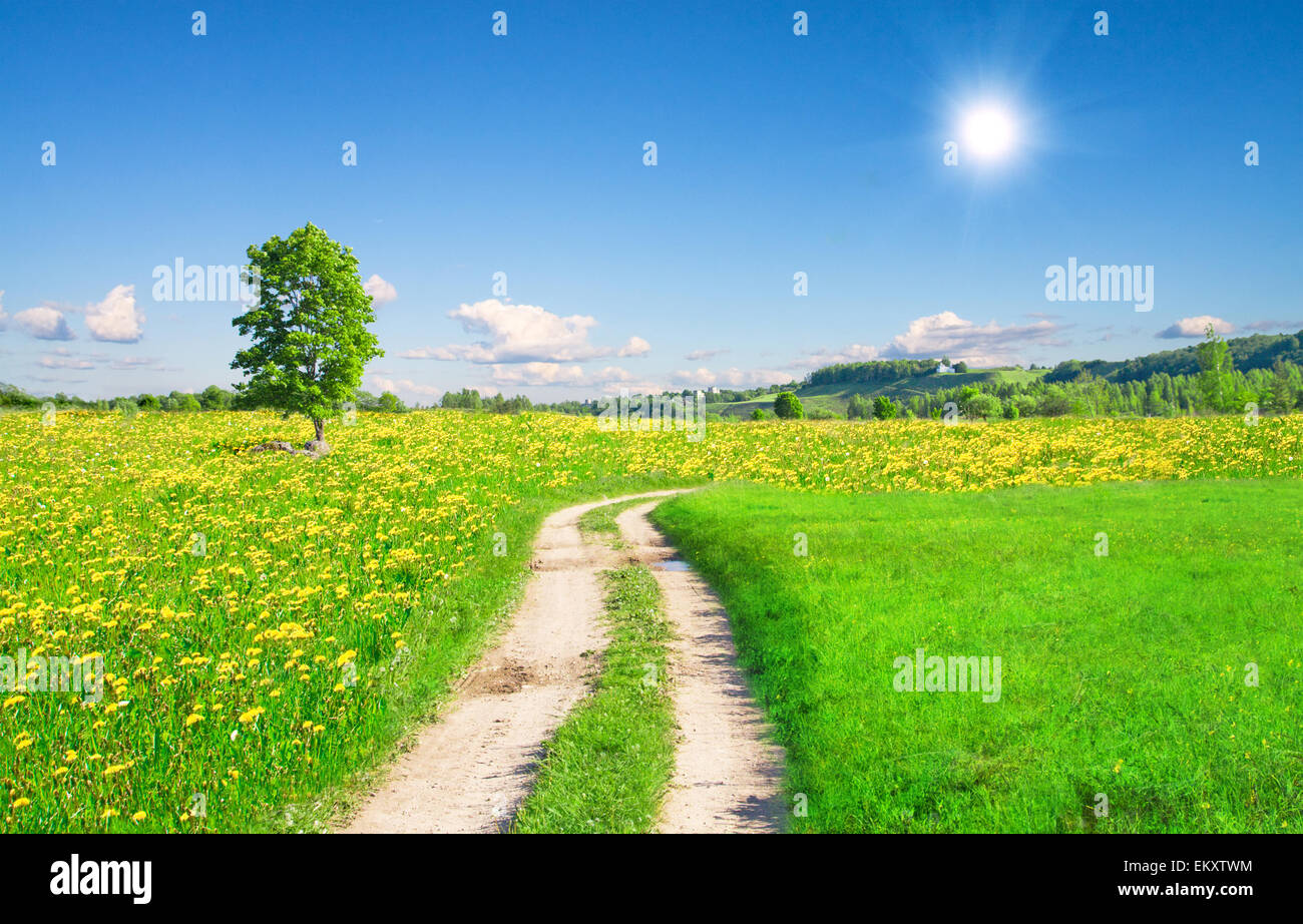 beautiful summer landscape Stock Photo - Alamy