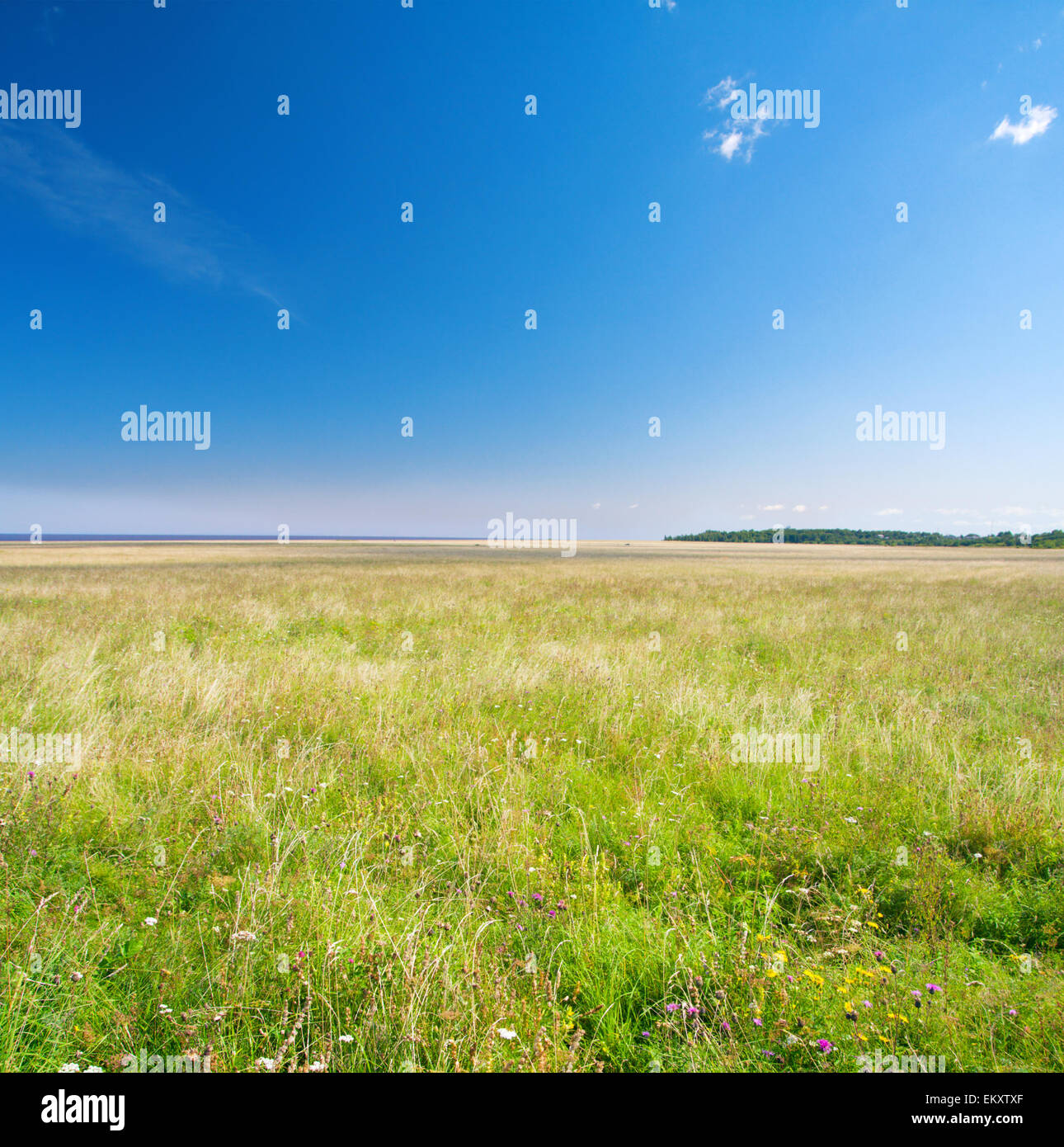 beautiful field and sky Stock Photo - Alamy