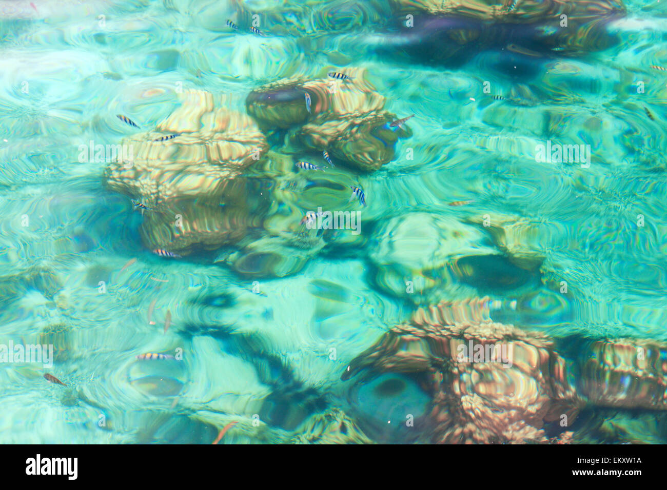 Crystal clear tropical sea Stock Photo - Alamy