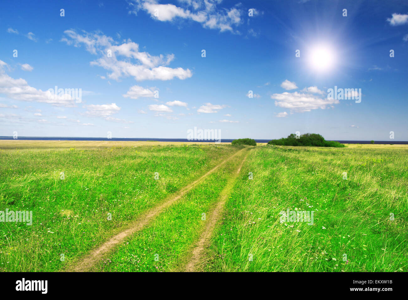 beautiful summer landscape with dirt road Stock Photo - Alamy