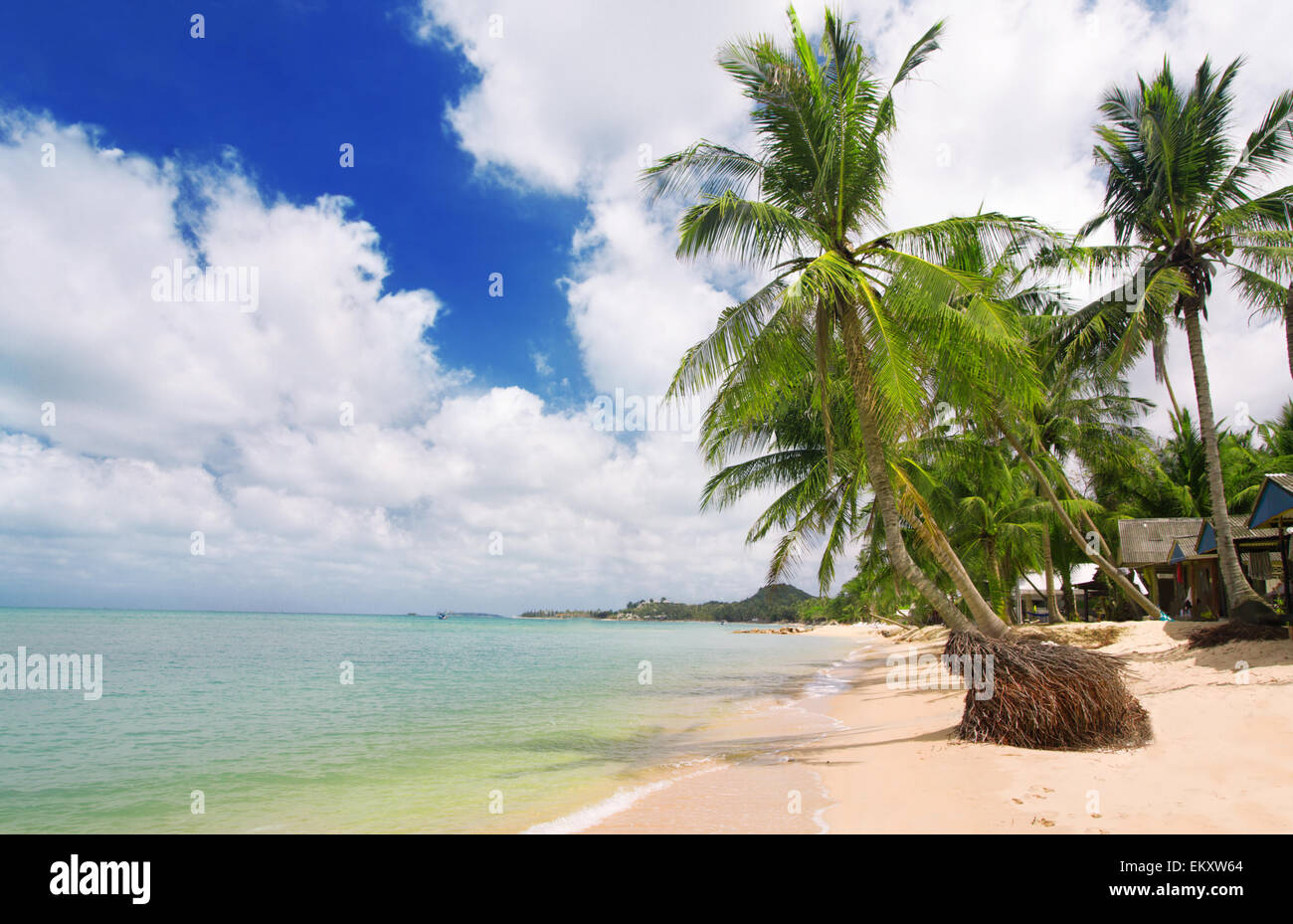 beautiful tropical beach Stock Photo - Alamy