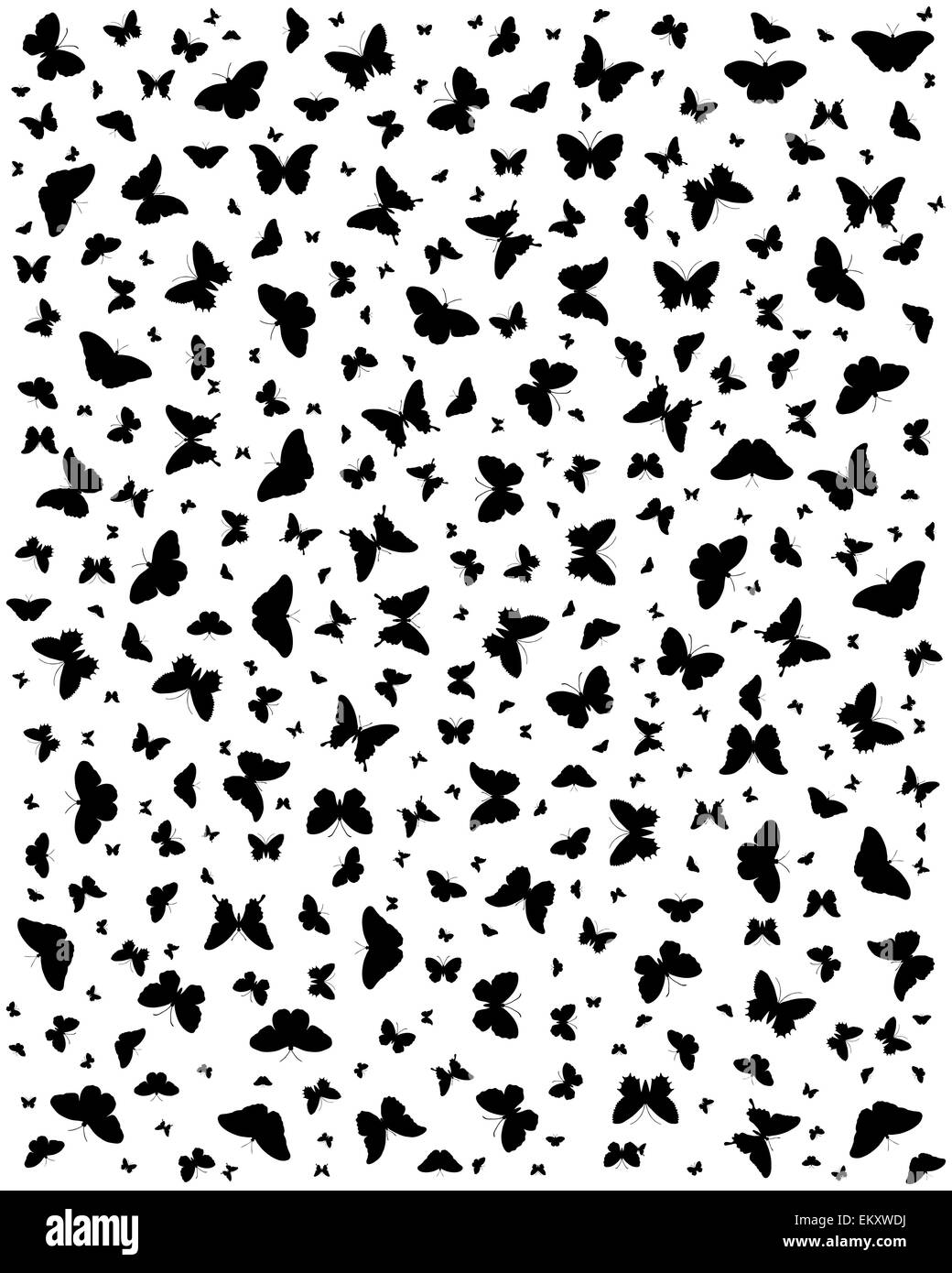 Butterflies illustration print Black and White Stock Photos & Images ...
