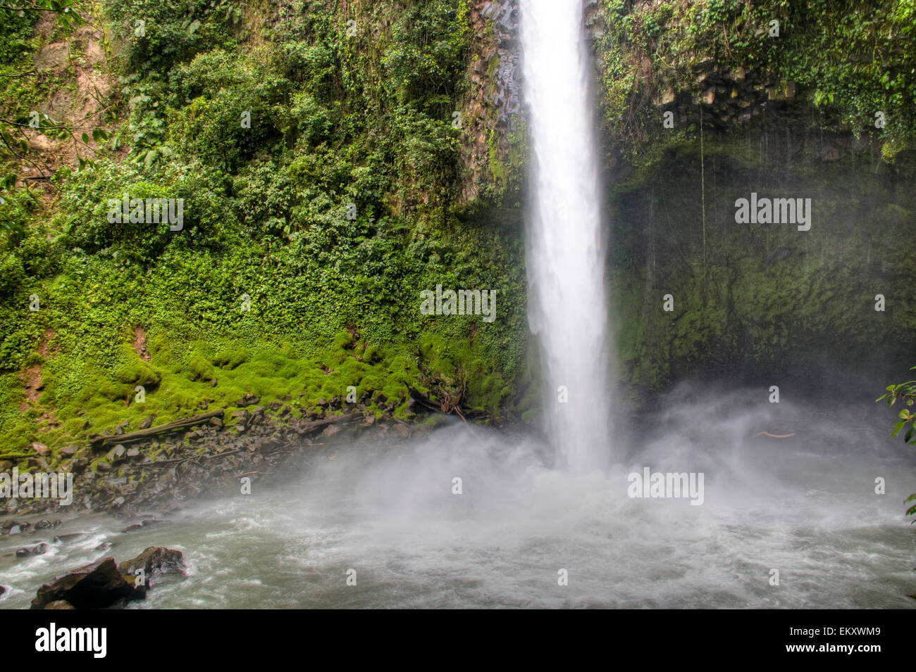 La Fortuna Waterfall in Arenal National Park, Costa Rica Stock Photo ...