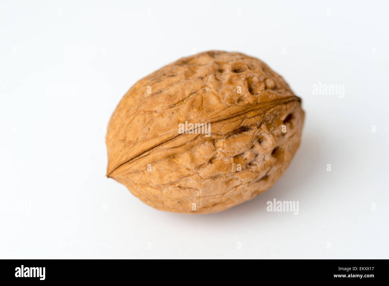 single walnut isolated on white background Stock Photo - Alamy