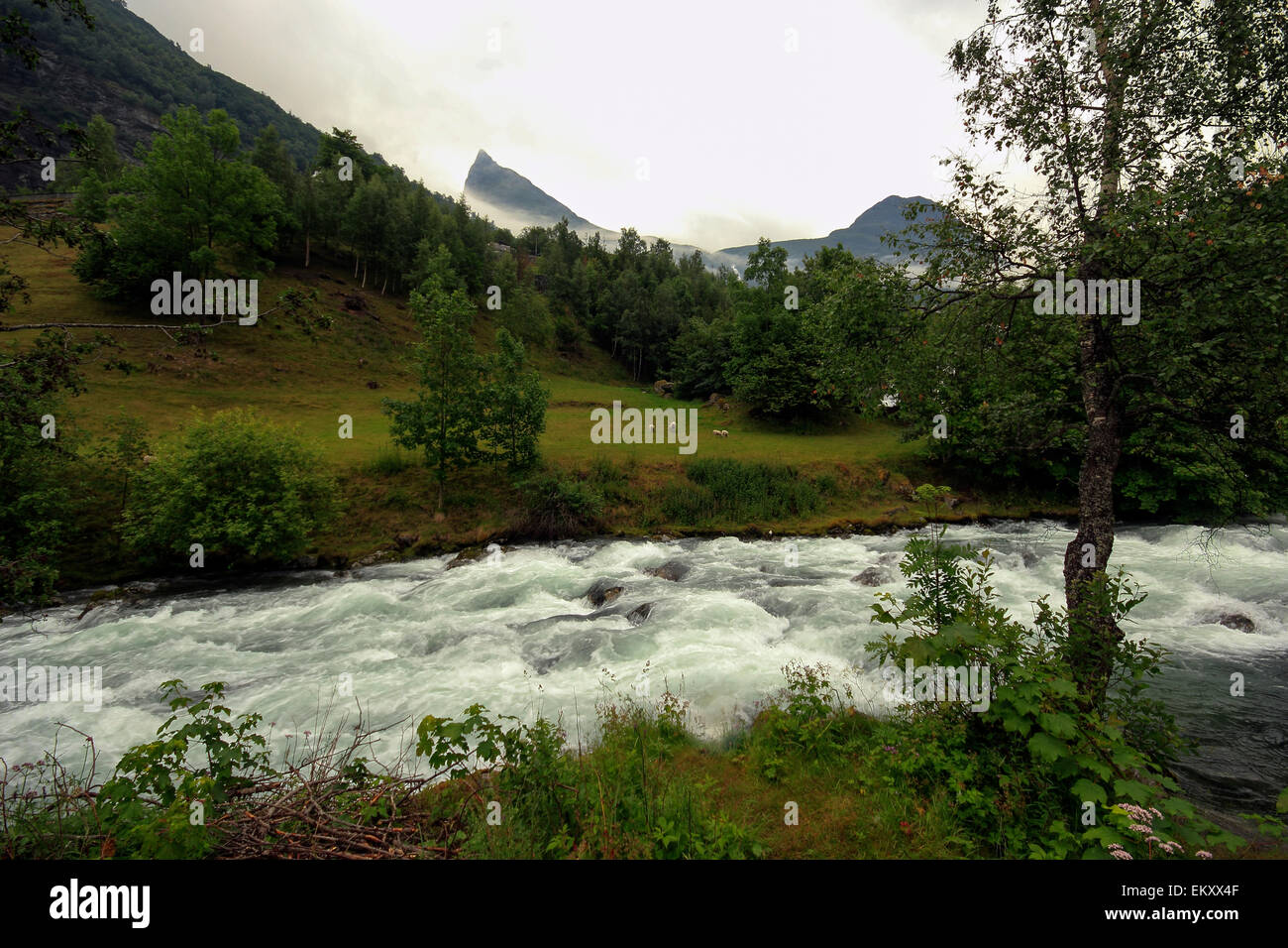 Geiranger fiord flydal viewpoint mountains hi-res stock photography and ...