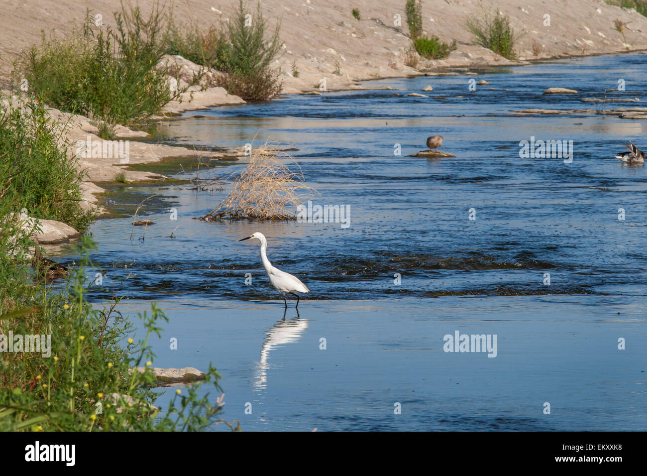 Sepulveda basin recreation area hi-res stock photography and images - Alamy