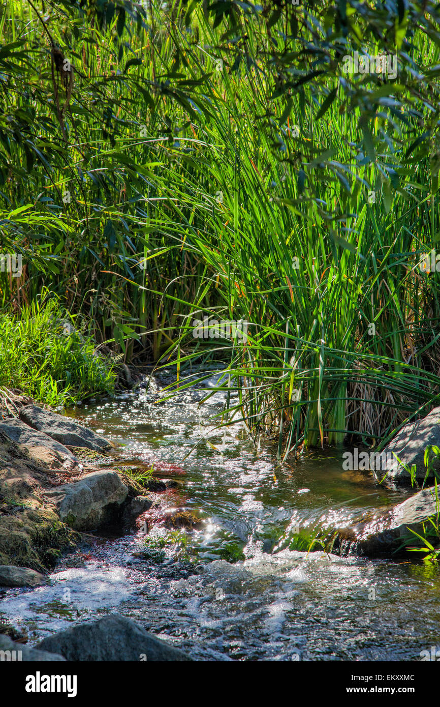 The Los Angeles River running through the Sepulveda Basin Recreation ...