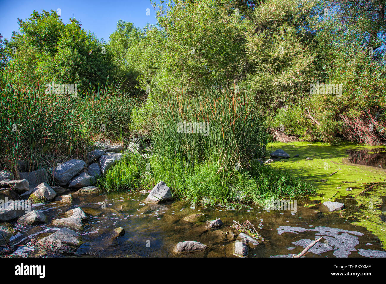 The Los Angeles River running through the Sepulveda Basin Recreation ...