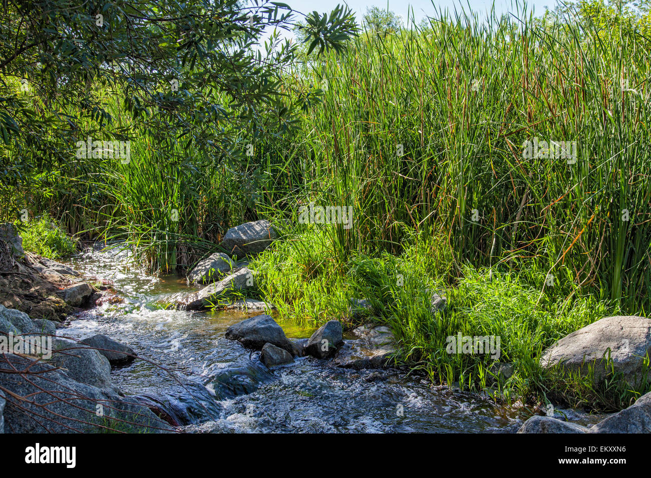 The Los Angeles River running through the Sepulveda Basin Recreation ...