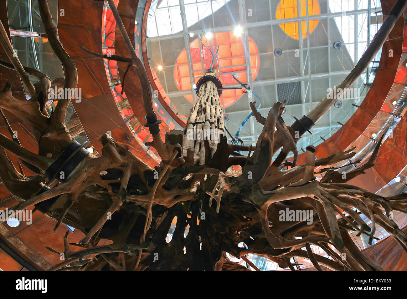 A huge tree trunk picture taken under their roots Stock Photo - Alamy