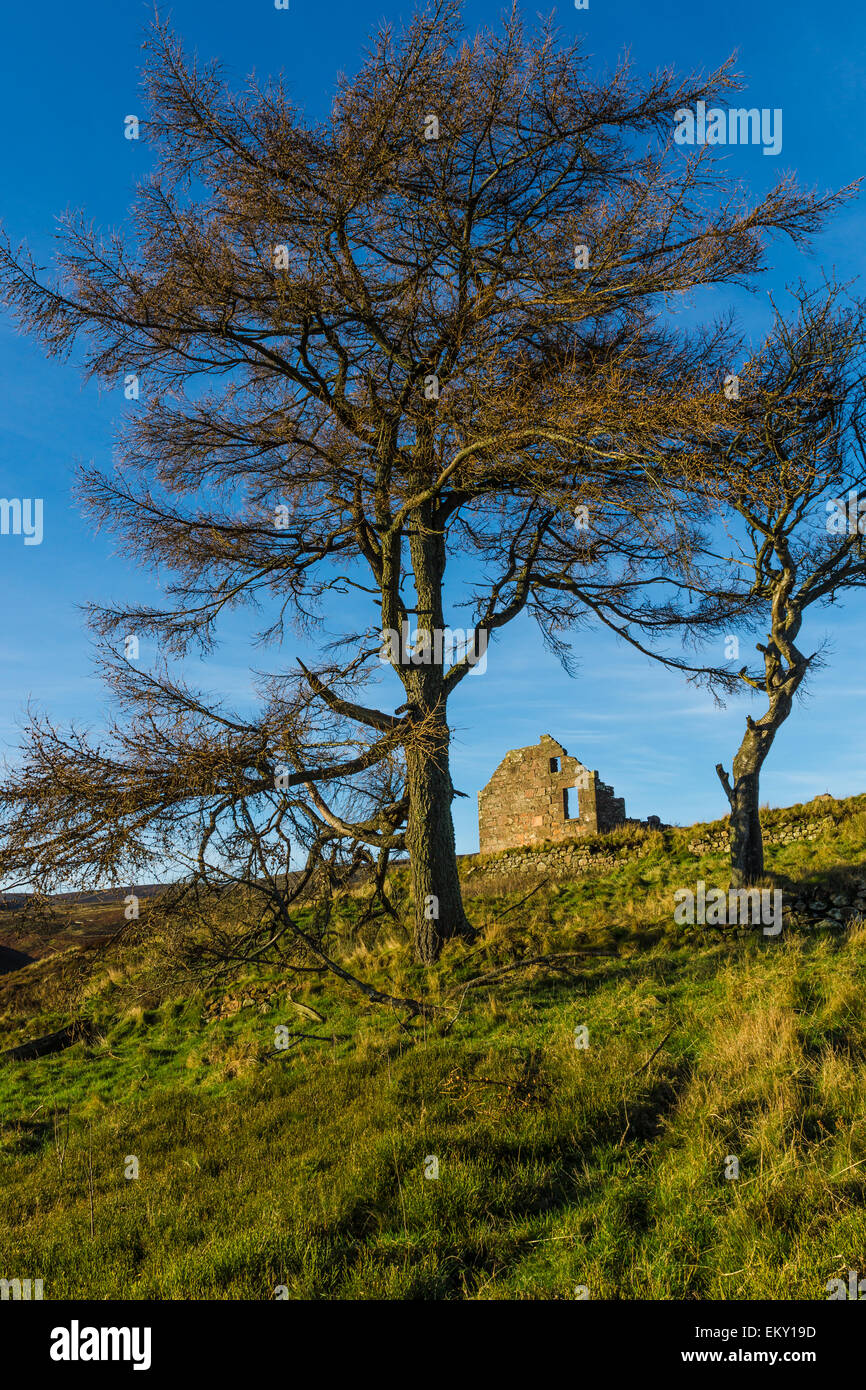 Old ruined croft building on Redstone Hill beside the Cairn a Mount ...