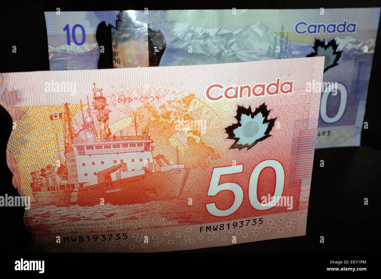 A Canadian $50 note next to a $10 note photographed against a black ...