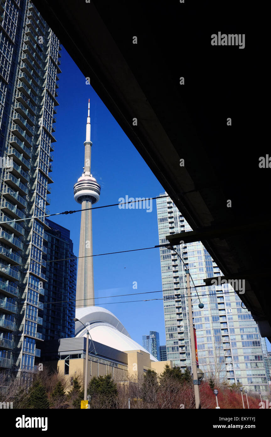 A view of the CN Tower from Downtown Toronto in Canada Stock Photo - Alamy