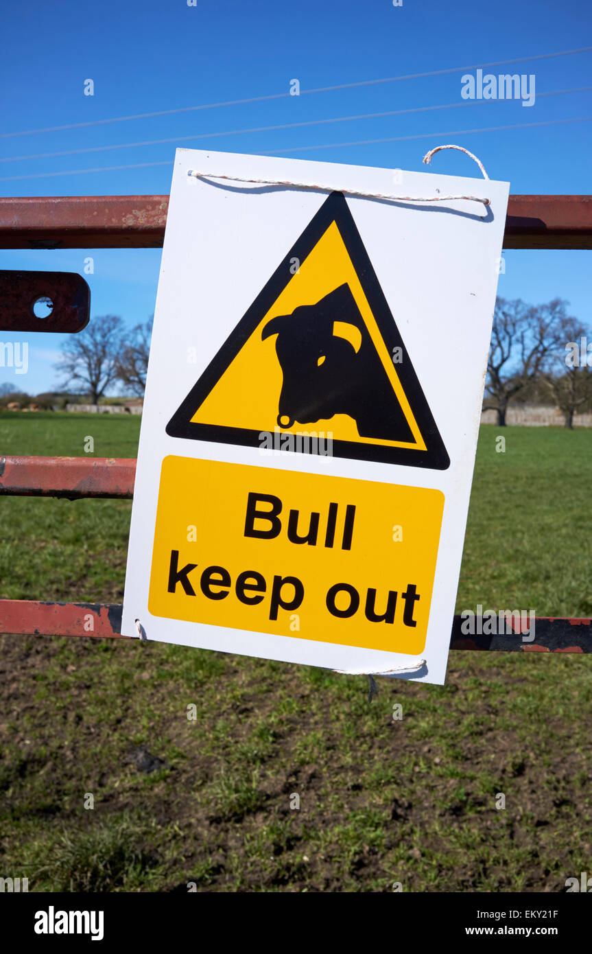 BULL KEEP OUT, WARNING SIGN, FARM, YELLOW. SIGN, SCOTLAND, UK Stock ...