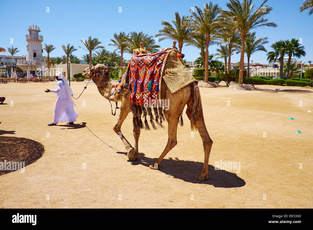 Straits On Tiran High Resolution Stock Photography and Images - Alamy