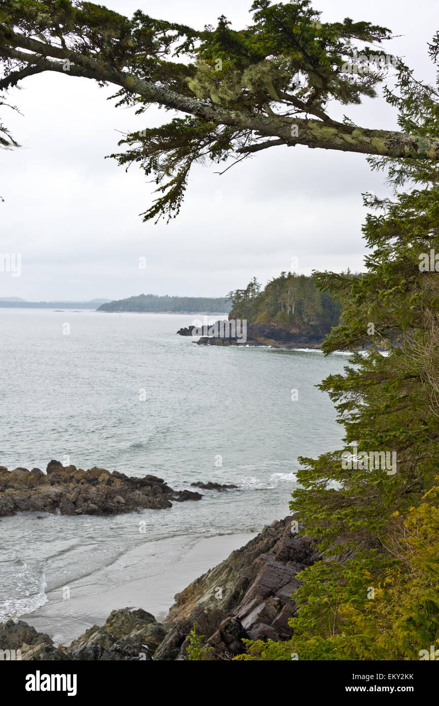 Canada west coast landscapes hi-res stock photography and images - Alamy
