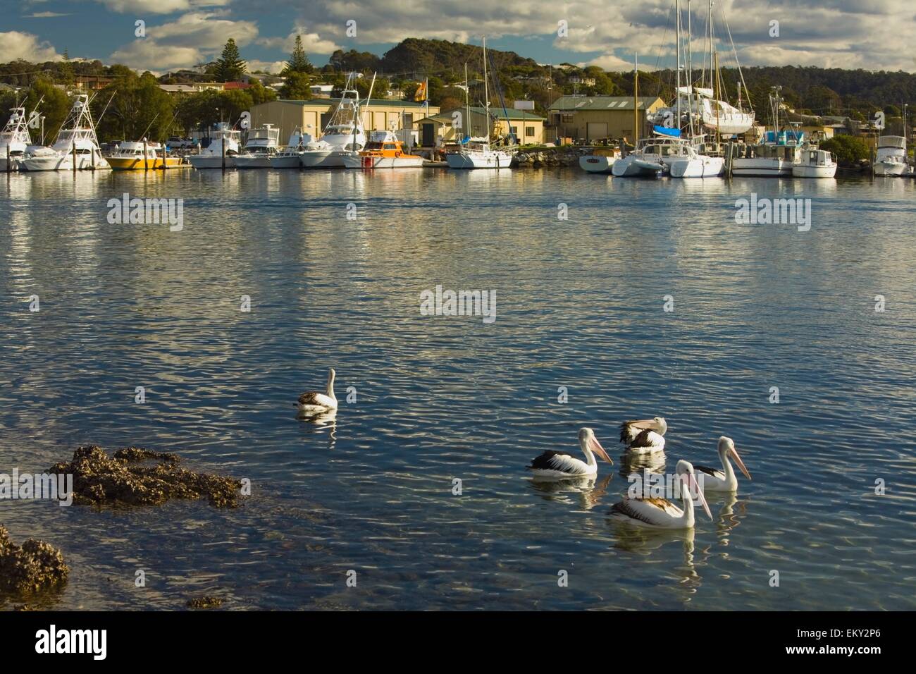 Bermagui harbour hi-res stock photography and images - Alamy