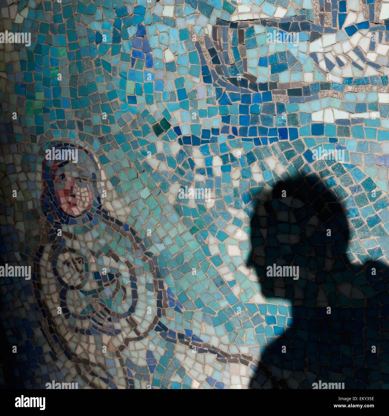 Shadow Of Man On Mosaic Tiles Stock Photo - Alamy