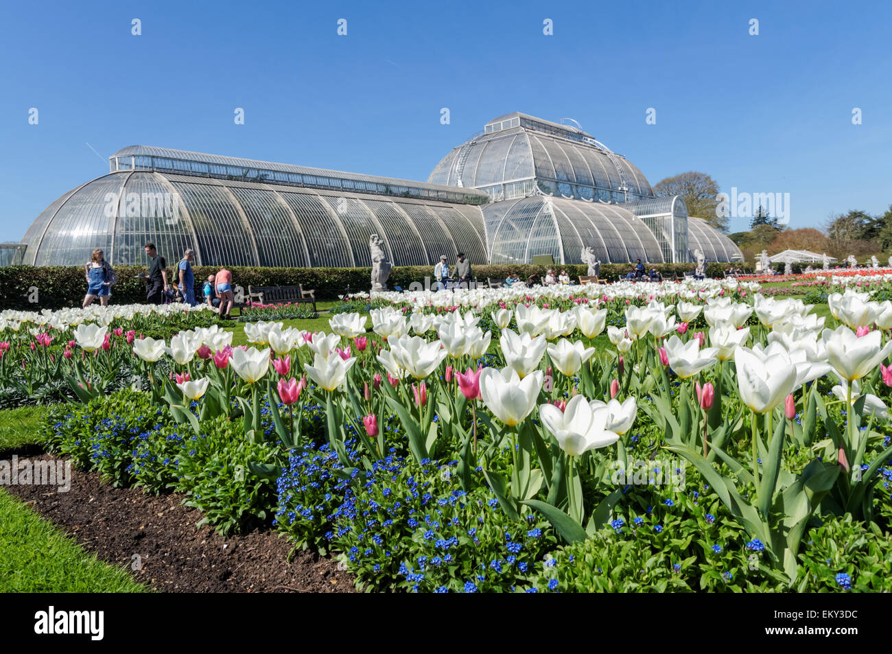 Blooming spring flowers in front of the Palm House at the Kew Gardens ...