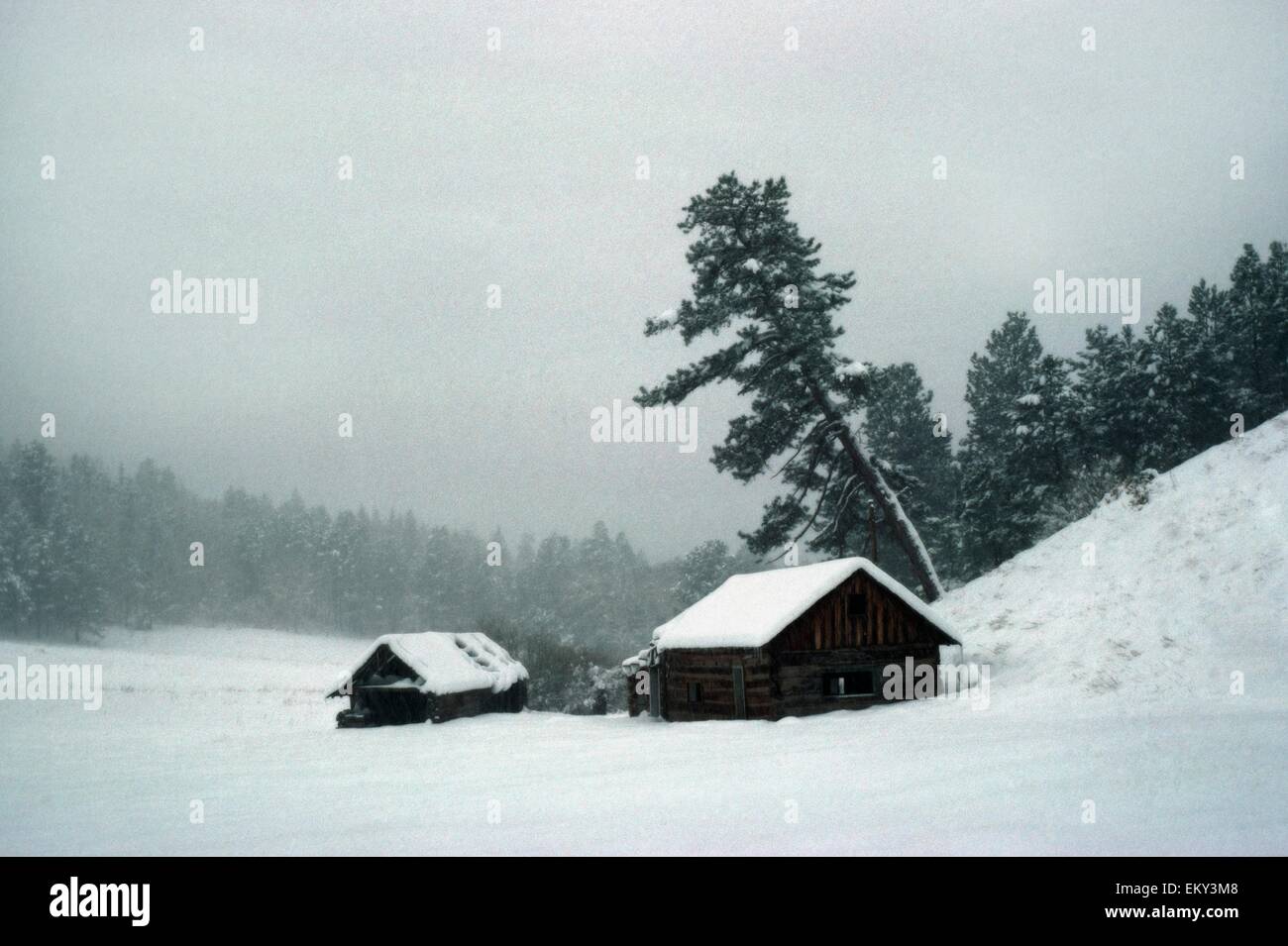 Abandoned Homestead In Snow Storm Stock Photo - Alamy