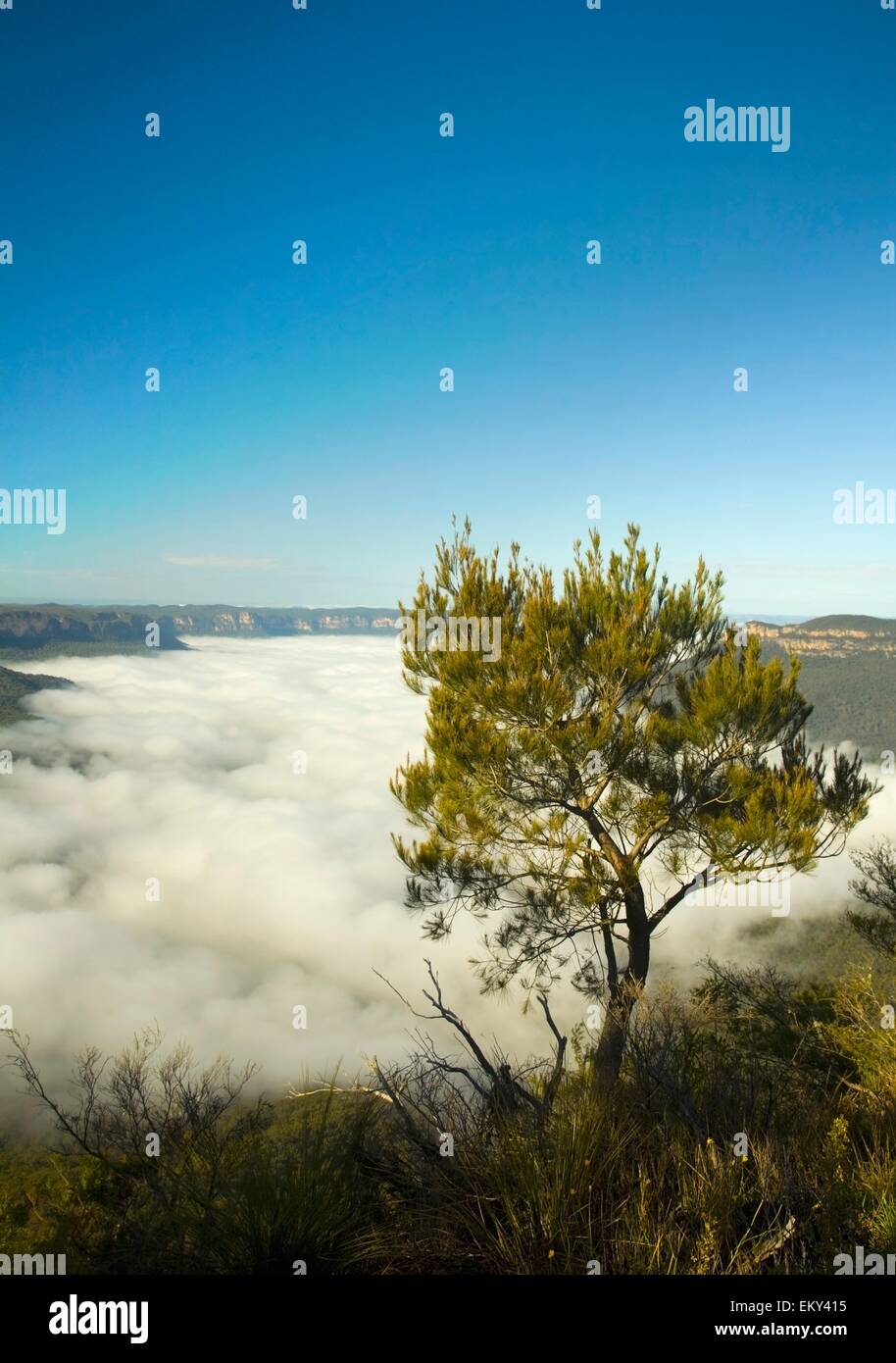 Temperature Inversion Shown By Low Lying Clouds Stock Photo - Alamy