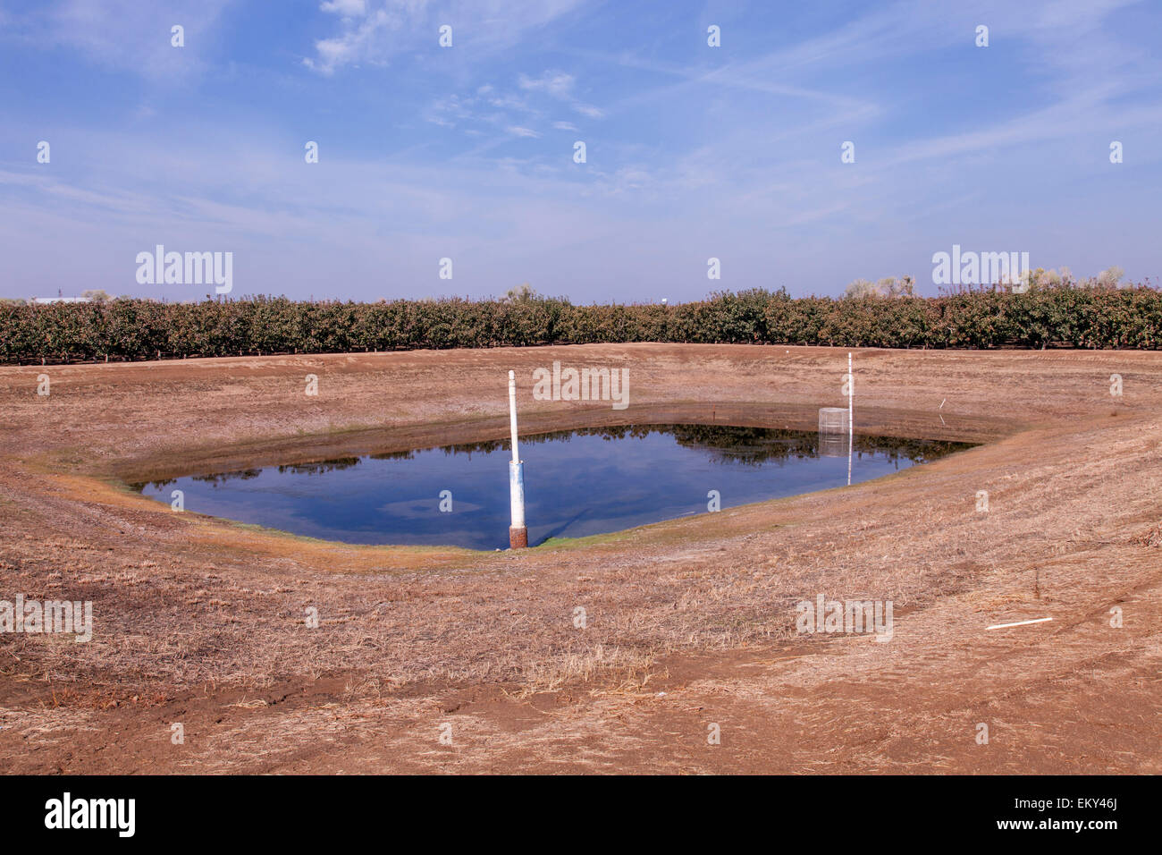 A return Pond is located at the lowest corner of a crop field to retain ...