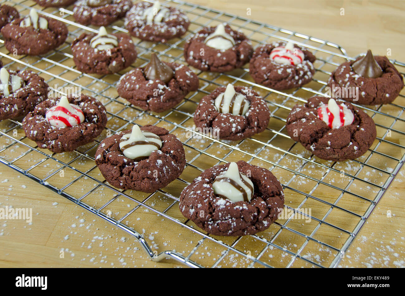 Chocolate cookies with striped candy and powdered sugar on a baking ...