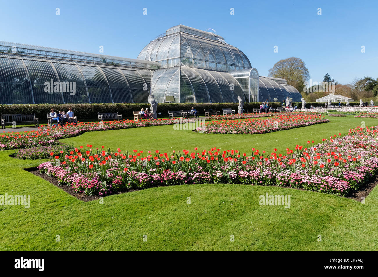 Royal botanic gardens kew tulips hi-res stock photography and images ...