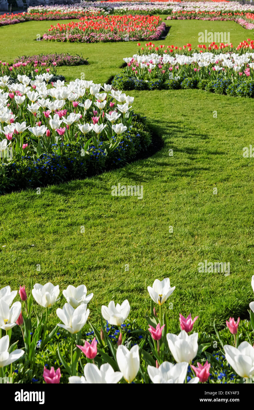 Blooming spring flowers in flowerbeds Stock Photo - Alamy