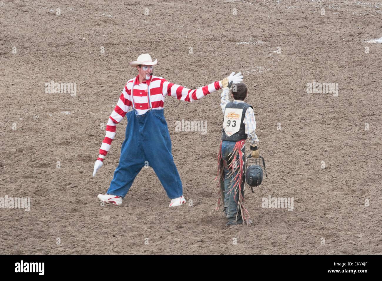 Rodeo Clown And Cowboy, Calgary Stampede Rodeo, Calgary, Alberta ...