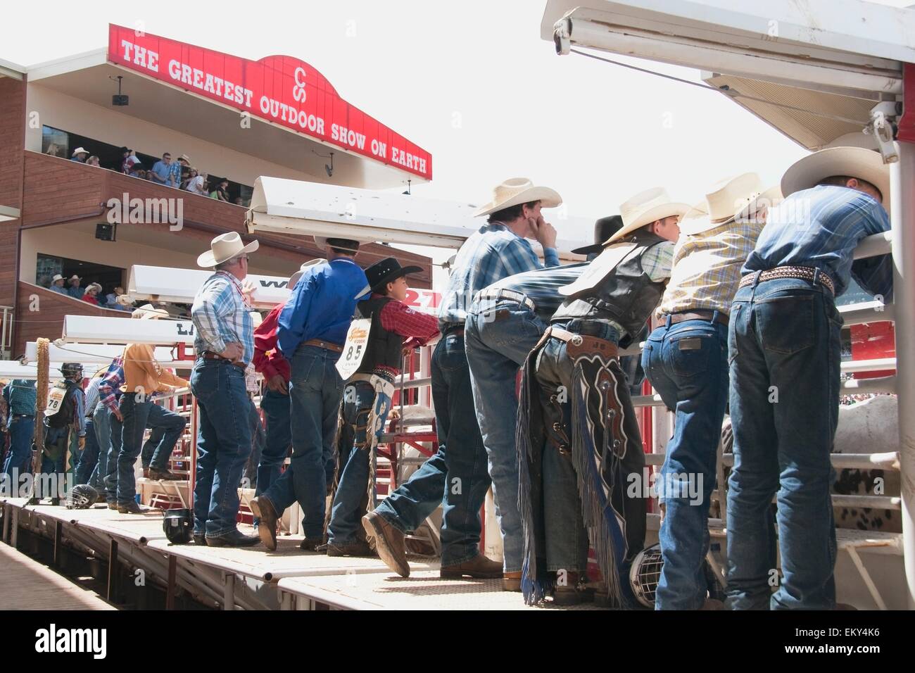 Calgary stampede stadium hi-res stock photography and images - Alamy