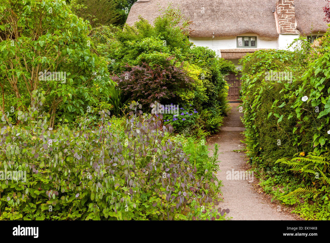 Cockington village, Torquay, Devon, England, United Kingdom, Europe ...