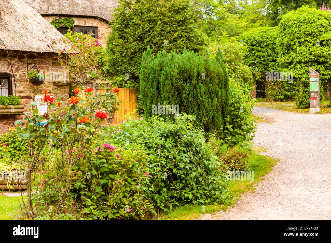 Cockington Village Torquay Devon England High Resolution Stock ...
